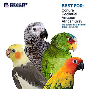 Prevue Hendryx Naturals Physical & Mental Naturals Mangrove Bird Toy 62805