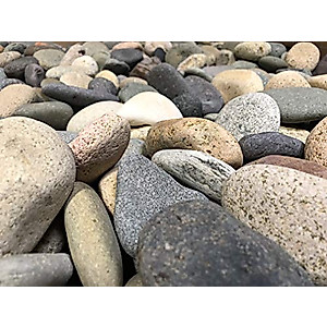 LF Inc. 50 Lb. Premium Large Mixed Mexican Stone Beach Pebbles 3-5 inches, Decor, Garden, Landscape, Pathways, Backyard, Rock Pebbles