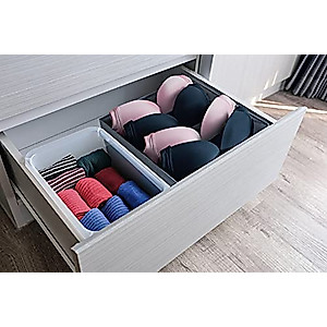 2 Pack Bra Storage Organizers for Dresser Drawers, Fabric Foldable underwear Storage, Washable Lingerie Organizers, Grey¡­