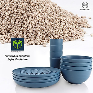 Homienly Wheat Straw Dinnerware Sets, 20pcs Unbreakable Microwave Dishwasher Safe Tableware Lightweight Bowls, Cups, Plates Set Reusable Dinner Plates Bowls set (Blue)