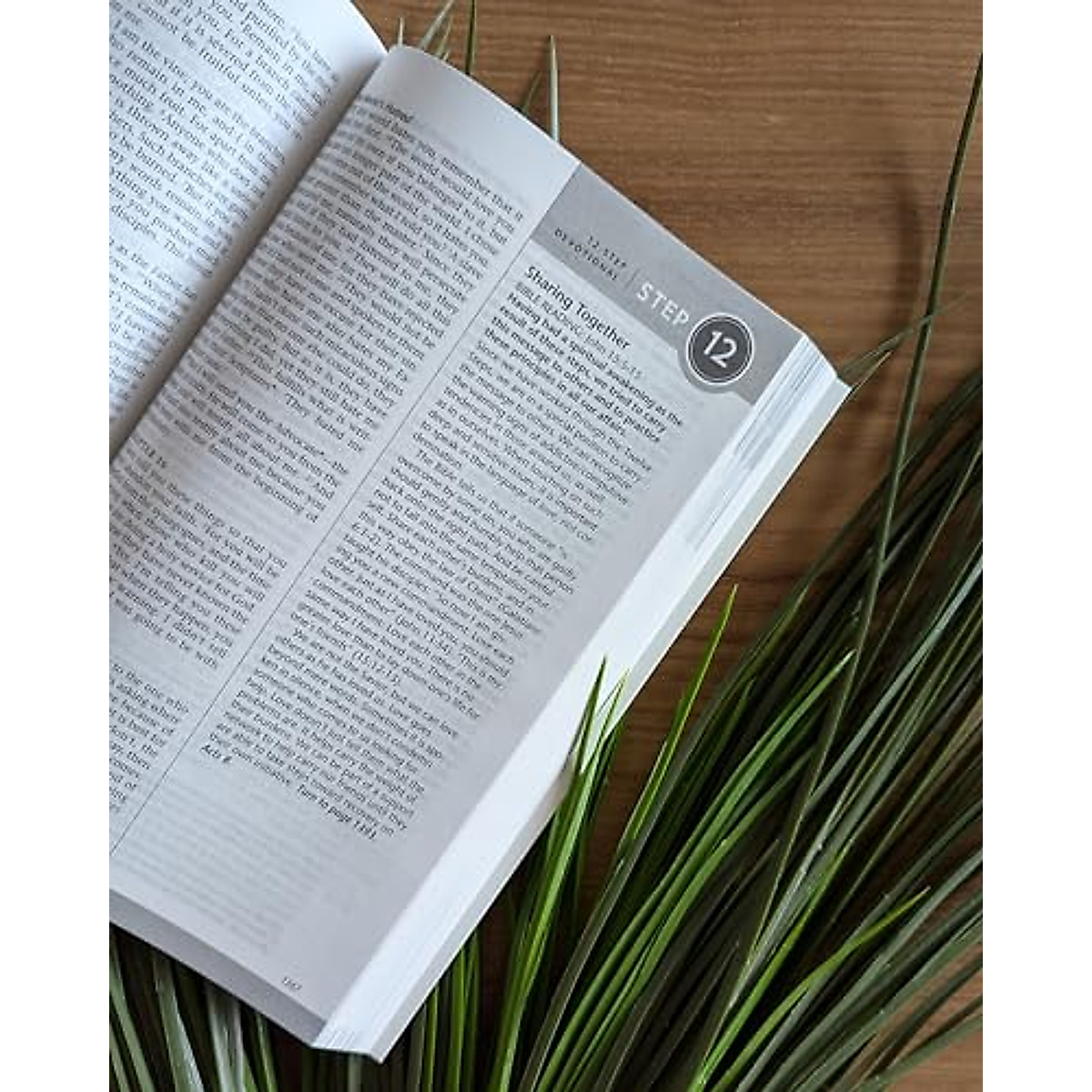 NLT Life Recovery Bible, Second Edition, Personal Size (Softcover): Addiction Bible Tied to 12 Steps of Recovery for Help with Drugs, Alcohol, Personal Struggles - With Meeting Guide