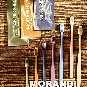 Alaisee Disposable Toothbrushes with Toothpaste, Travel Toothbrush Kit for Adults, in 7 Colours and Individually Packaged (25 Packs)