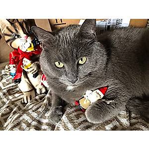 By Mark & Margot Mischievous Cat with Granny - Black Stripes (Mischievous Cat)