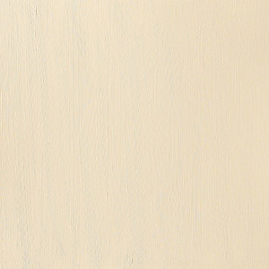 Winsor & Newton Professional Acrylic Paint, 60ml (2-oz) Tube, Raw Sienna