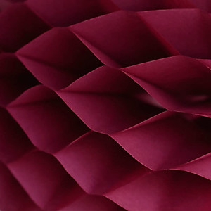 Burgundy Graduation Party Decorations Maroon Party Decorations Tissue Pom Poms Lanterns Honeycomb Balls for Wedding Anniversary Bridal Shower Engagement Bachelorette Party Birthday Party Fall Party