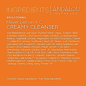 BRIGHTENING Meyer Lemon + C Creamy Cleanser