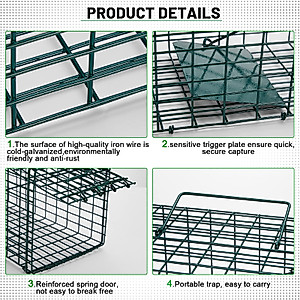 Qualirey 2 Pcs Humane Squirrel Trap Heavy Duty Live Animal Chipmunk Trap Catch and Release Rat Trap for Outdoor Small Animals Mouse Raccoon Stray Cat Rodent Weasels (16 x 5 x 5 Inch)