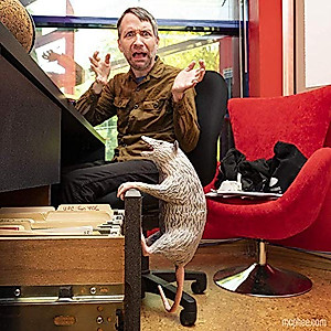 Archie McPhee 12923 Office Possum, 15 inch