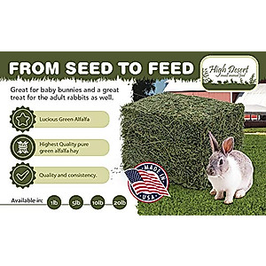 High Desert Alfalfa Hay - Dried Natural Alfalfa Hay for Rabbits, Guinea Pigs, Chinchillas, and Ferrets - Protein and Fiber Rich Food for Small Animals - Healthy Pet Food