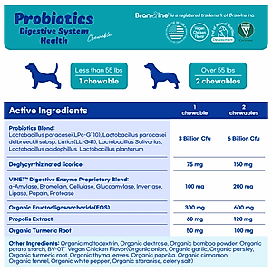 Branvine Probiotics Chewable Digestive System Health for Dogs - Patented 2-Strain Probiotics That Help Oral Health, DGL, Propolis, Digestive Enzymes, Vegan Chicken Flavor (90 Chewables)