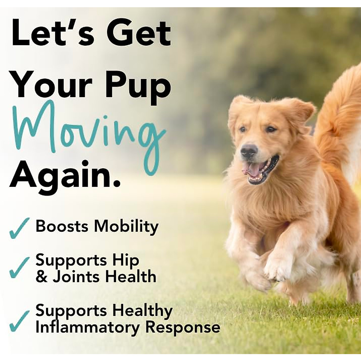 iHeartDogs Hip & Joint Hemp Supplement for Dogs - Advanced 8-in-1 Dog Joint Chews with Glucosamine, Chondroitin, Turmeric, Devil's Claw, Green Lipped Mussel, Hemp, Yucca, Boswellia & MSM 90 CT