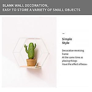 Wall Mounted Hexagonal Floating Shelves White Set of 3, Modern Metal White Shelves, Wood Partition Shelves for Wall Decor, Wall Shelves for Bedroom, Living Room, Kitchen, Office, Plants and Art