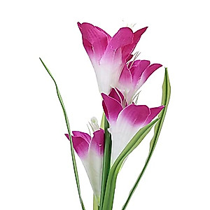 MIGONG Solar Garden Lights, Waterproof Garden Lights Outdoor Solar Lights Outdoor Garden Solar Garden Stake Lights for The Garden Trees Flowers Flowerbed Fence Walkway (Purple Color)