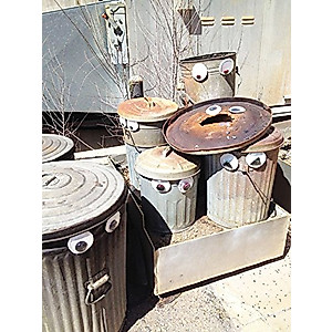 DECORA 6 Inch Large Wiggle Googly Eyes with Self Adhesive for Crafts Set of 4