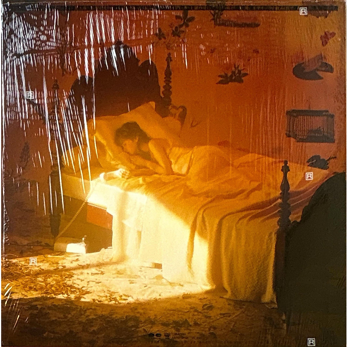 予感 [12" Analog LP Record]