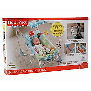 Fisher-Price Soothe & Go Bouncy Seat