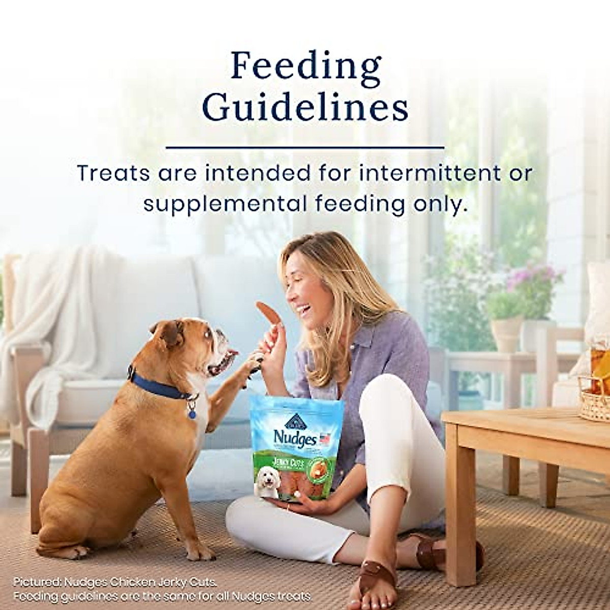 Blue Buffalo Nudges Grillers Natural Dog Treats, Steak, 36oz Bag