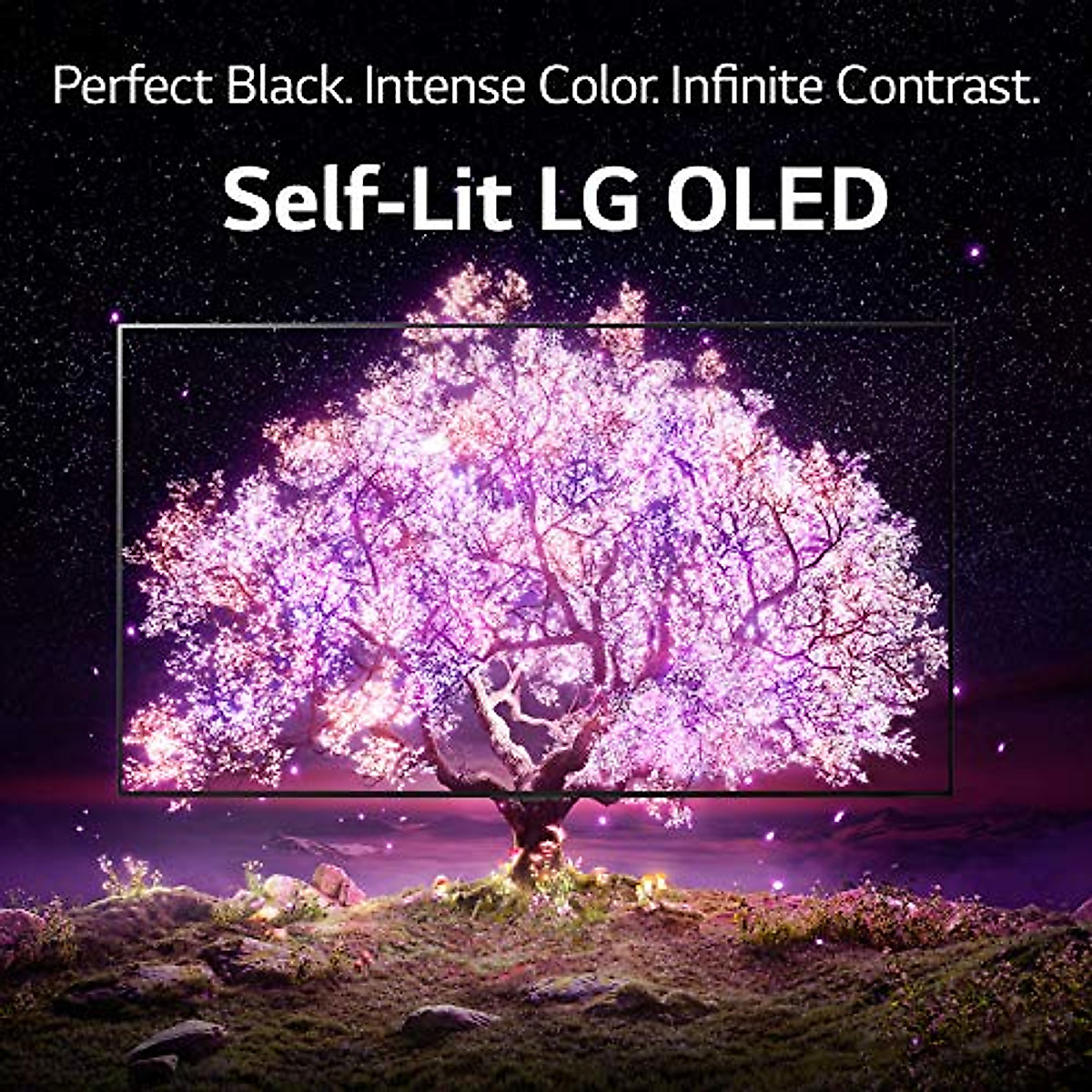 LG OLED A1 Series 77” Alexa Built-in 4k Smart TV, 60Hz Refresh Rate, AI-Powered 4K, Dolby Vision IQ and Dolby Atmos, WiSA Ready, Gaming Mode (OLED77A1PUA, 2021)