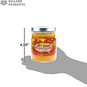 Specialty Pet Odor Exterminator Fall N Leaves Scented Candle Pack of 2 - Pet Odor Candles - Bundle with Ballard Products Air Freshener
