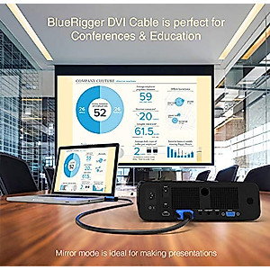 BlueRigger DVI to DVI Monitor Cable (6FT, 24+1 Dual Link, Digital Video Cable, Male to Male) - for Gaming, DVD, Laptops, HDTV and Projector