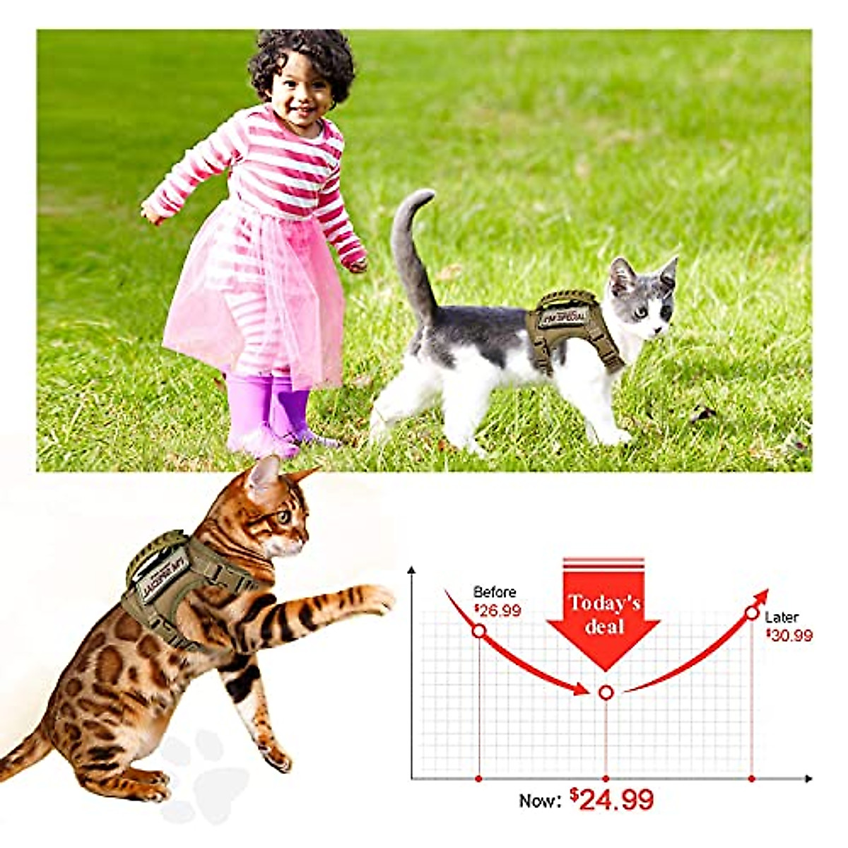 Tactical Cat Harness for Walking Escape Proof, Soft Mesh Adjustable Pet Vest Harness for Large Cat,Small Dog