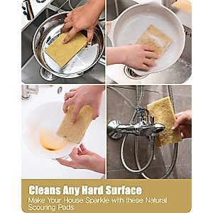 Foamstar Natural Scouring Pads 6 Pack- Non-Scratch Sisal Cleaning Scrub Pads for Dishes, Eco-Friendly Coconut Fiber Kitchen Scrubbers for Pans and Pots, Compostable, Biodegradable