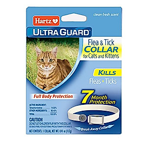 Hartz UltraGuard Flea & Tick Collar for Cats and Kittens, 7 Month Flea and Tick Protection and Prevention, White