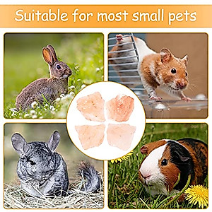 4 Pack Himalayan Small Pets Lick Salt Block on Rope- Natural Small Animal Mineral Salt Chew Toys with Rope, Small Pet Chew Treat Supplies for Guinea Pig Rabbits Bunny Ferrets
