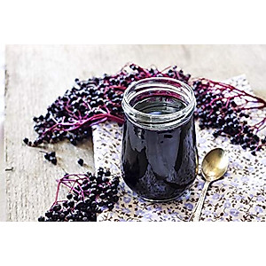 Gaea's Blessing Seeds - Elderberry Seeds - American Black Elderberry Heirloom - Non-GMO Seeds with Easy to Follow Planting Instructions - 90% Germination Rate