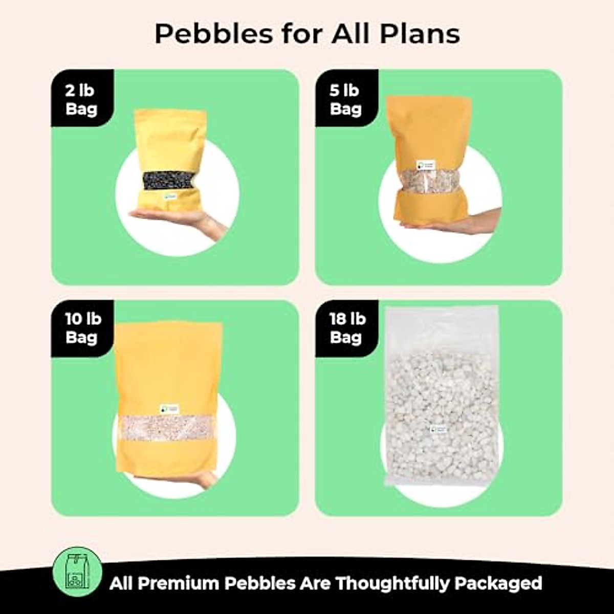 Premium Pebbles Black Rocks for Plants. Polished Decorative Pebbles. 3/8 Inch 2 lbs for Garden, Indoor, Crafting, Succulents, pots, Plants (XSM (0.375 Inch), Black -Polished, 2)