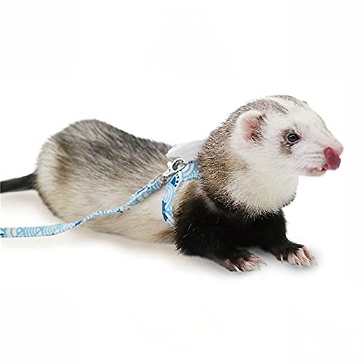 Ferret Harness and Leash - Soft Mesh Small Pet Harness with Wings and Safe Bell, No Pull Comfort Padded Vest for Ferret, Guinea Pigs, Chinchilla and Similar Small Animals (3 Pack)