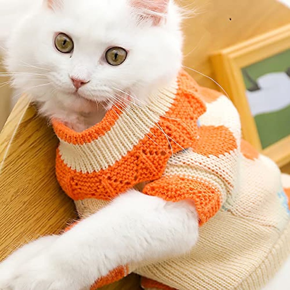 apott Cat Sweater Pet Knitted Dress Winter Warm Clothes for British Shorthair Burmese Cornish Rex Scottish Fold Siamese Orange - S