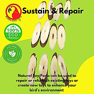 Bonka Bird Toys 3405 (Pk12) Extra Thin Natural Sola Slices 2.25" x 0.125", Medium Parrot Foot Talon Cage Toy, Conure, Lories, Lorikeets, and Similar