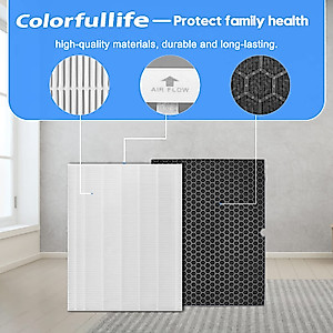 Colorfullife 2 Pack 116130 Replacement Filter H for Winix 5500-2 Air Purifier, 2 Pack HEPA Filters and 2 Pack Activated Carbon Filter Combo Pack