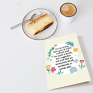 Best Friend Birthday Card, Funny Birthday Card for Bestie Sister, Friendship Card for Women Lady Girl, Thinking of You Card, Bitch Sandwich