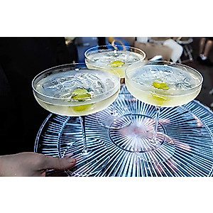 Luigi Bormioli Vinea 10.25 oz Cocktail Glasses, Set of 2, Clear