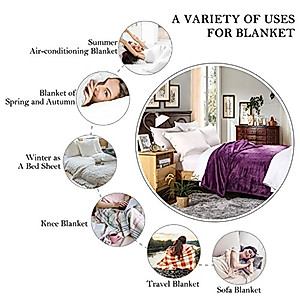 HYSEAS Flannel Fleece Throw Blanket Purple - Super Soft Plush Microfiber Solid Blanket for Couch, Bed, Chair, Sofa - Fuzzy Cozy Lightweight - 50x60 Inch