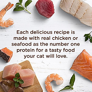 Rachael Ray Nutrish Natural Wet Cat Food, Chicken Lovers Variety Pack, 2.8 Ounce Cup (Pack of 12), Grain Free