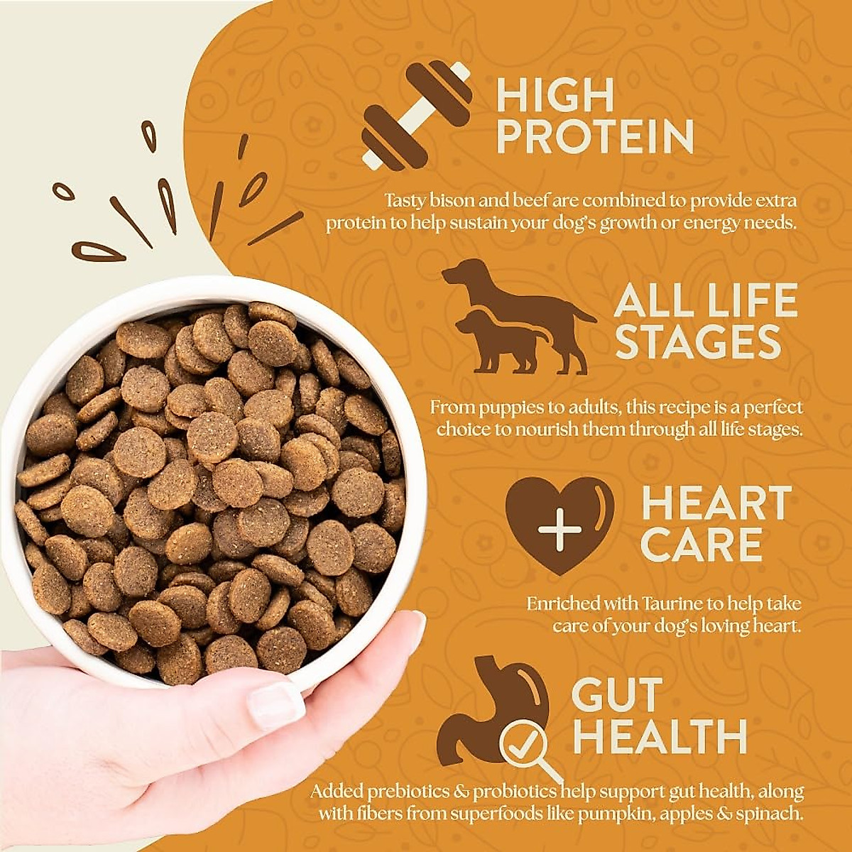 Earthborn Holistic Great Plains Feast Grain-Free Natural Dry Dog Food, 12.5 lb