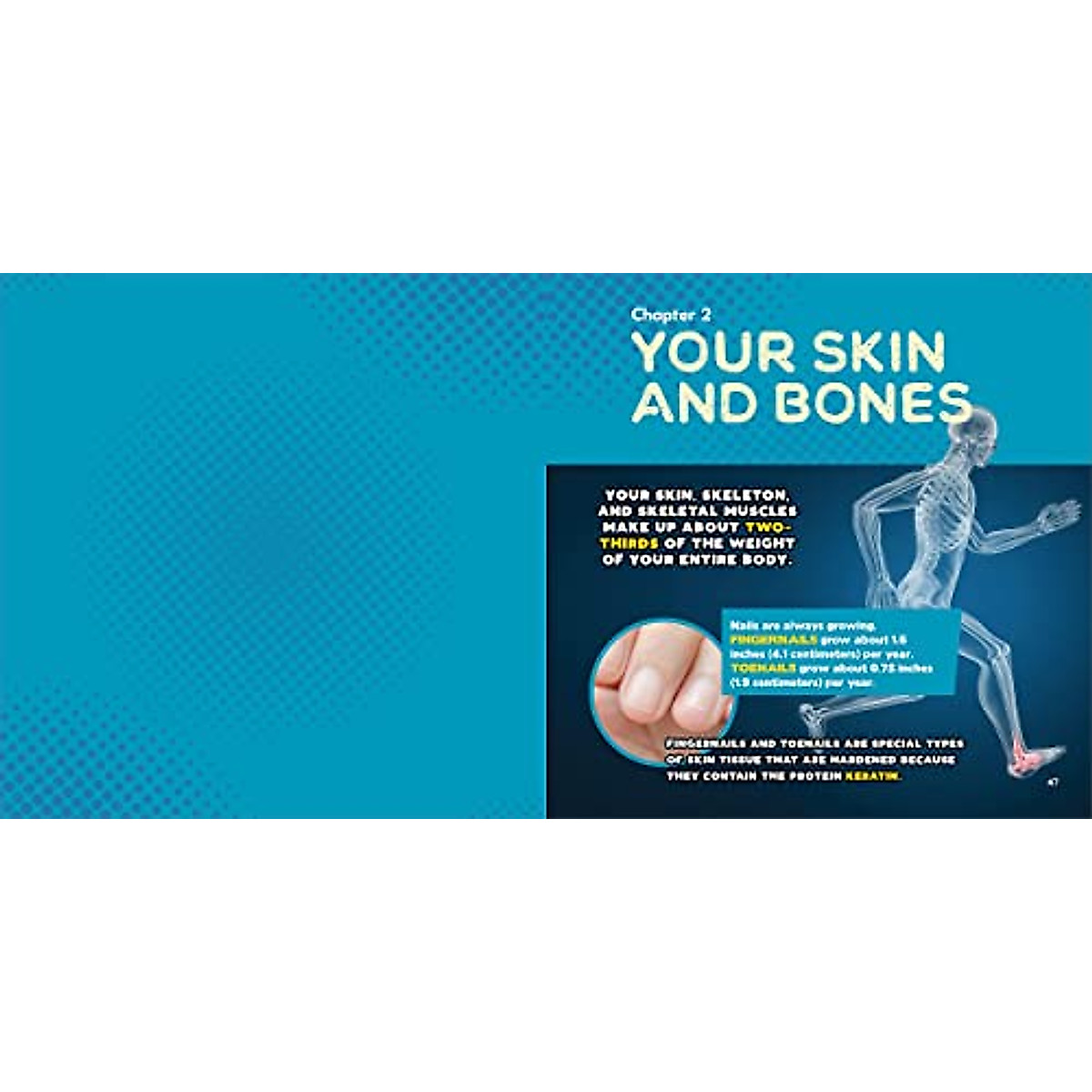 The Fascinating Human Body Book for Kids: 500 Phenomenal Facts! (Fascinating Facts)