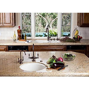 Newport Brass 2510-5103 Nadya Single Handle Kitchen Faucet with Pull-down Spray, Venetian Bronze