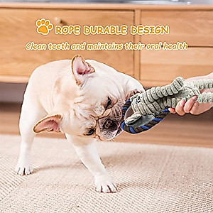 havidodo Squeaky Dog Toys, 3 Pack Puppy Toys, Durable Dog Toys for Small Medium Dogs Breed, Plush Dog Toys Bulk Set, Stuffed Dog Toys Pack with Rope, Tough Puppy Chew Toys for Teething