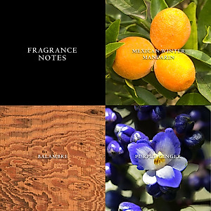 John Varvatos Men's Cologne, Artisan Eau de Toilette EDT Spray, Woody Citrus Scent with Notes of Mexican Winter Mandarin, Purple Ginger & Balambre, 4.2 fl oz