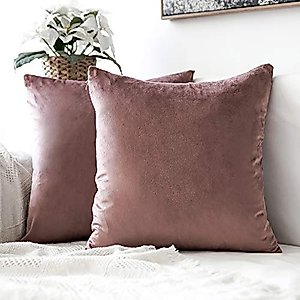 MIULEE Pack of 2 Decorative Velvet Pillow Covers Soft Square Throw Pillow Covers Solid Cushion Covers Jam Pillow Cases for Sofa Bedroom Car 20 x 20 Inch 50 x 50 Cm