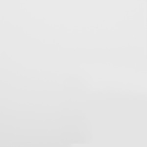 Coaster Home Furnishings Betony Traditional Wood Twin Size Canopy Bed Frame 79-inch Headboard White 406055T