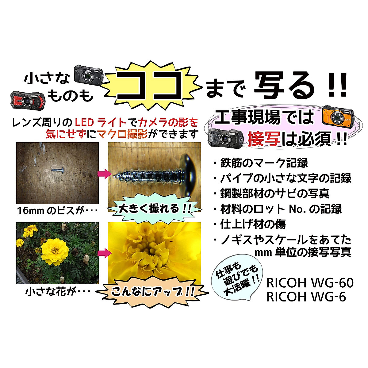 RICOH Waterproof Digital Camera WG-60 Black 14m Withstand Shock 1.6m Cold -10 BK 03825
