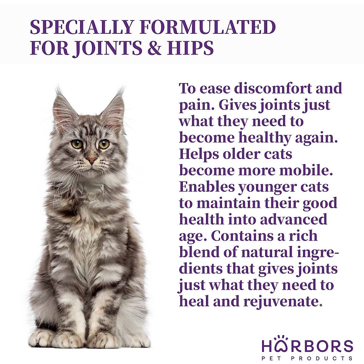 Harbor's Cat Hip Helper - Cat Joint Supplement Liquid for Fast Pain Relief, Smooth Younger HIPS. Natural Nutrients, Glucosamine, MSM, Chondroitin, Hyaluronic Acid, Yummy Organic Beef Flavor - 59 ml