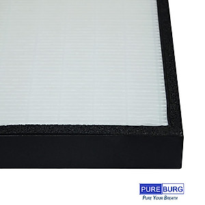 PUREBURG Replacement Filter Pack Compatible with RabbitAir BIOGS CLASSIC SPA-421A SPA-582A Air Purifier,H13 HEPA + Activated Carbon Filter Air Clean dust PM2.5 Odor