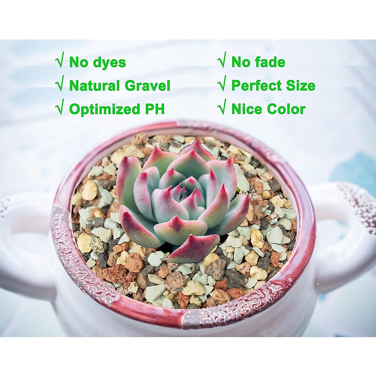 2.4lb Bonsai Succulent and Cactus Soil Boniosz Gritty Mix Rocks Faster Draining Optimized PH No Root Rot