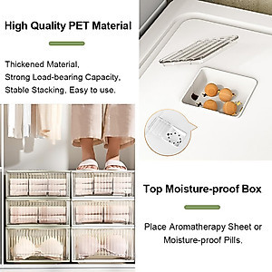 Miaocona Underwear Organizer Drawer, 1 Cell Plastic Sock Underwear Storage Drawer, Stackable Closet Organizers and Storage Box for Bras, Socks, Scarves, Ties, Belt (Placing Style, White, 1 Pcs)